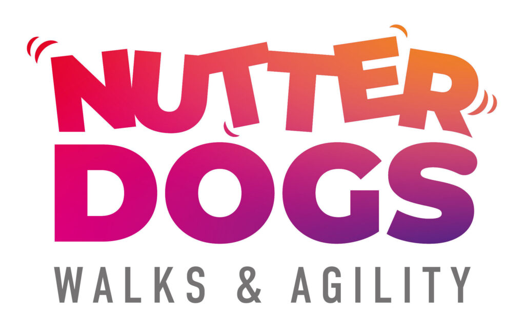 Nutter Dogs - Dog Training, Agility, and Dog Walking in Colne